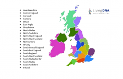 6 beste DNA-kits voor afkomst [2025 Tests vergeleken]