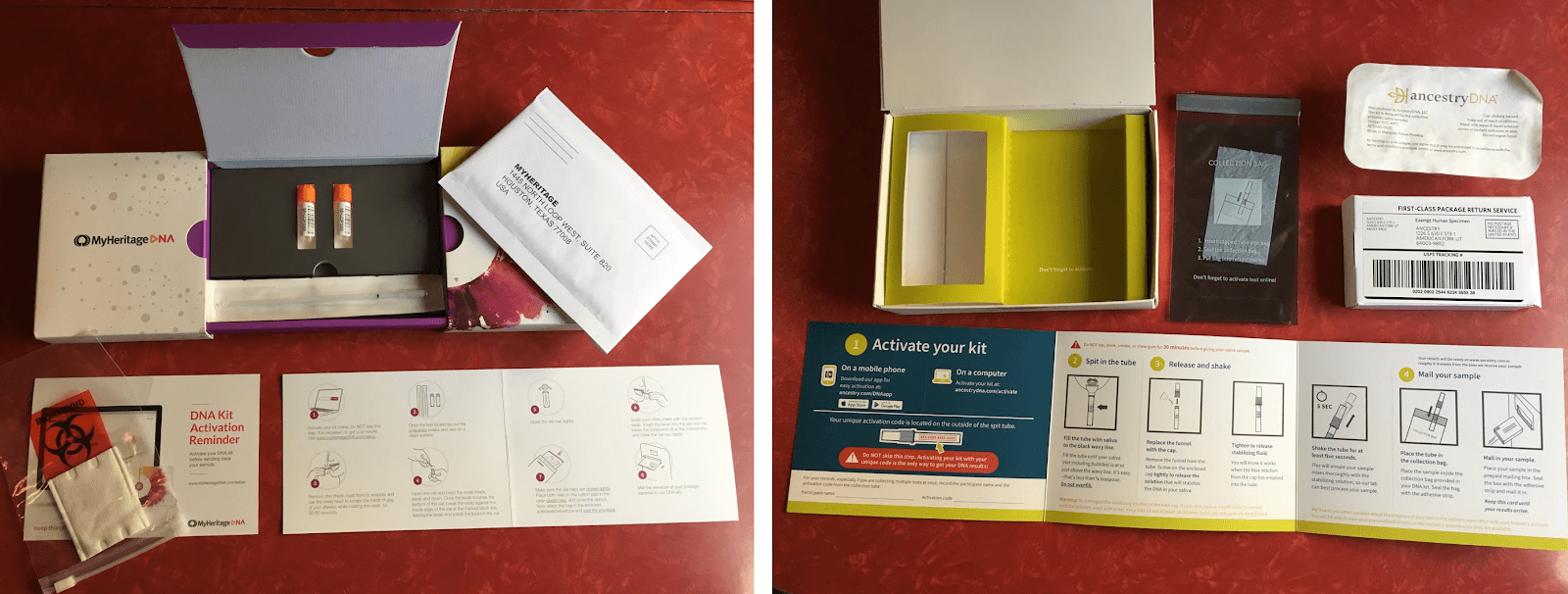MyHeritage vs AncestryDNA 2026: Which Wins? (Tested)
