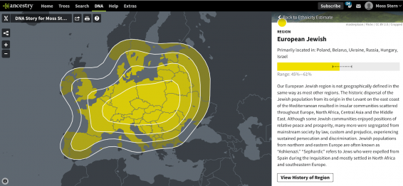 FamilyTreeDNA vs. Ancestry 2025: Which DNA Test is Best?