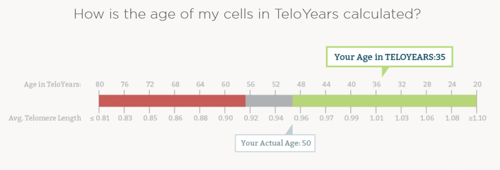 TeloYears Reviews 2026: More Advanced Than Other Tests?