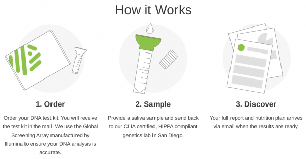 Gene Food Review 2022: Best for Optimizing Diet & Nutrition?