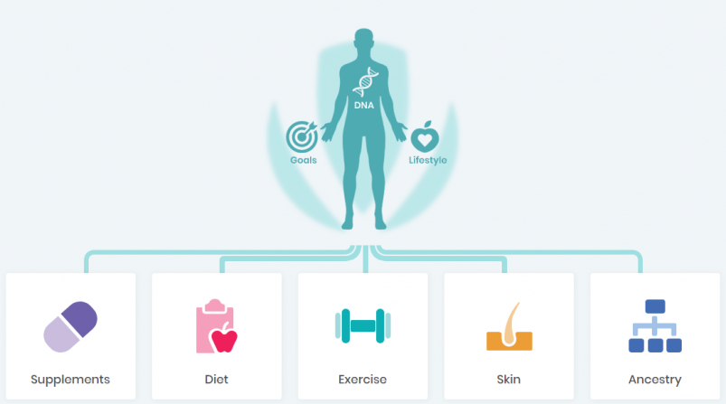 7 Best Providers for Personalized Nutrition in 2020