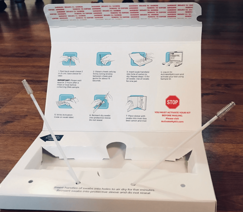 Dog Treats Wisdom Panel Essential Dog DNA Kit: Most Accurate Test For ...