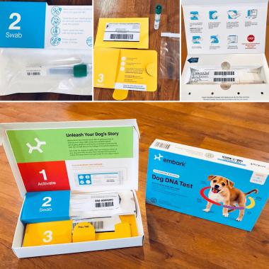 Embark Review 2023: At-Home Genetic Test for Pets