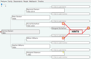 RootsMagic 7 Review 2025