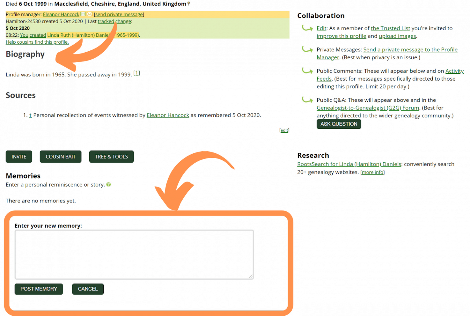 WikiTree Review 2026 – Can It Fill in the Ancestry Blanks?