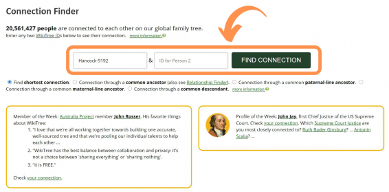 WikiTree Review 2025 – Can It Fill in the Ancestry Blanks?
