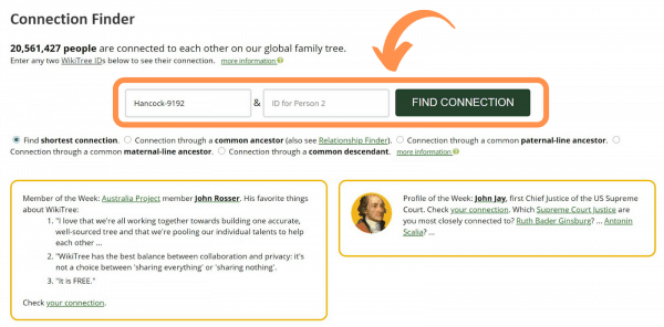 WikiTree Review 2025 – Can It Fill in the Ancestry Blanks?