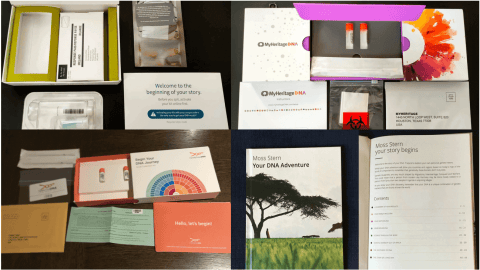 8 Best DNA Test Kits in 2026 (Ancestry, Health, and More)